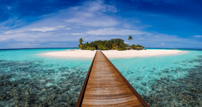 Maldives Health Declaration | QR CODE | COVID-19